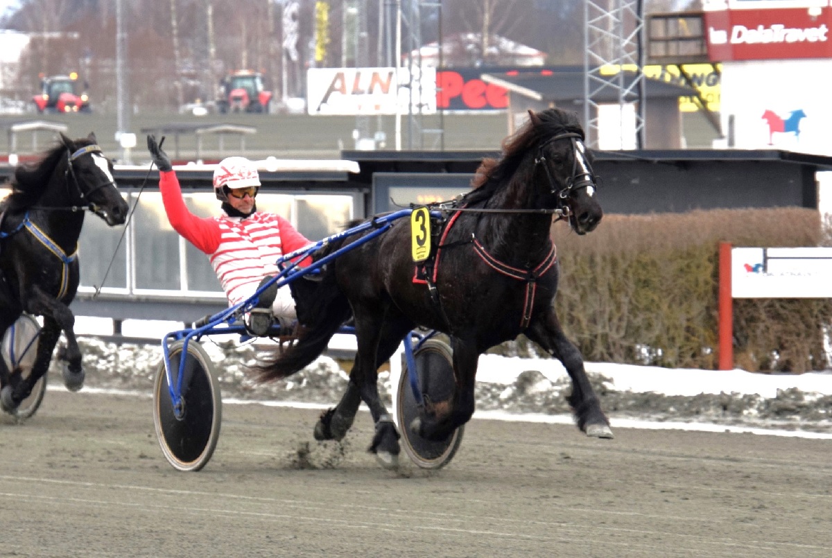 Månadens häst