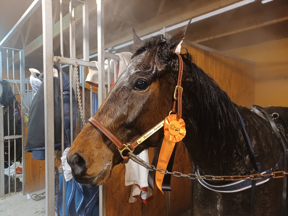 Bankir mot sjätte årssegern!