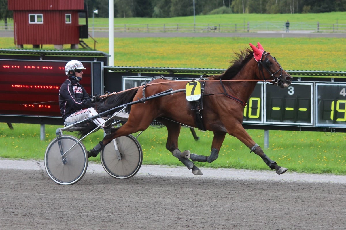Larizz säkrade silver innan jul
