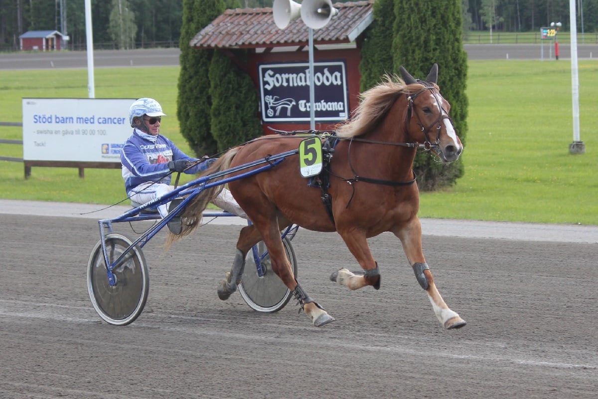Modd Rapper tar sitt första silver