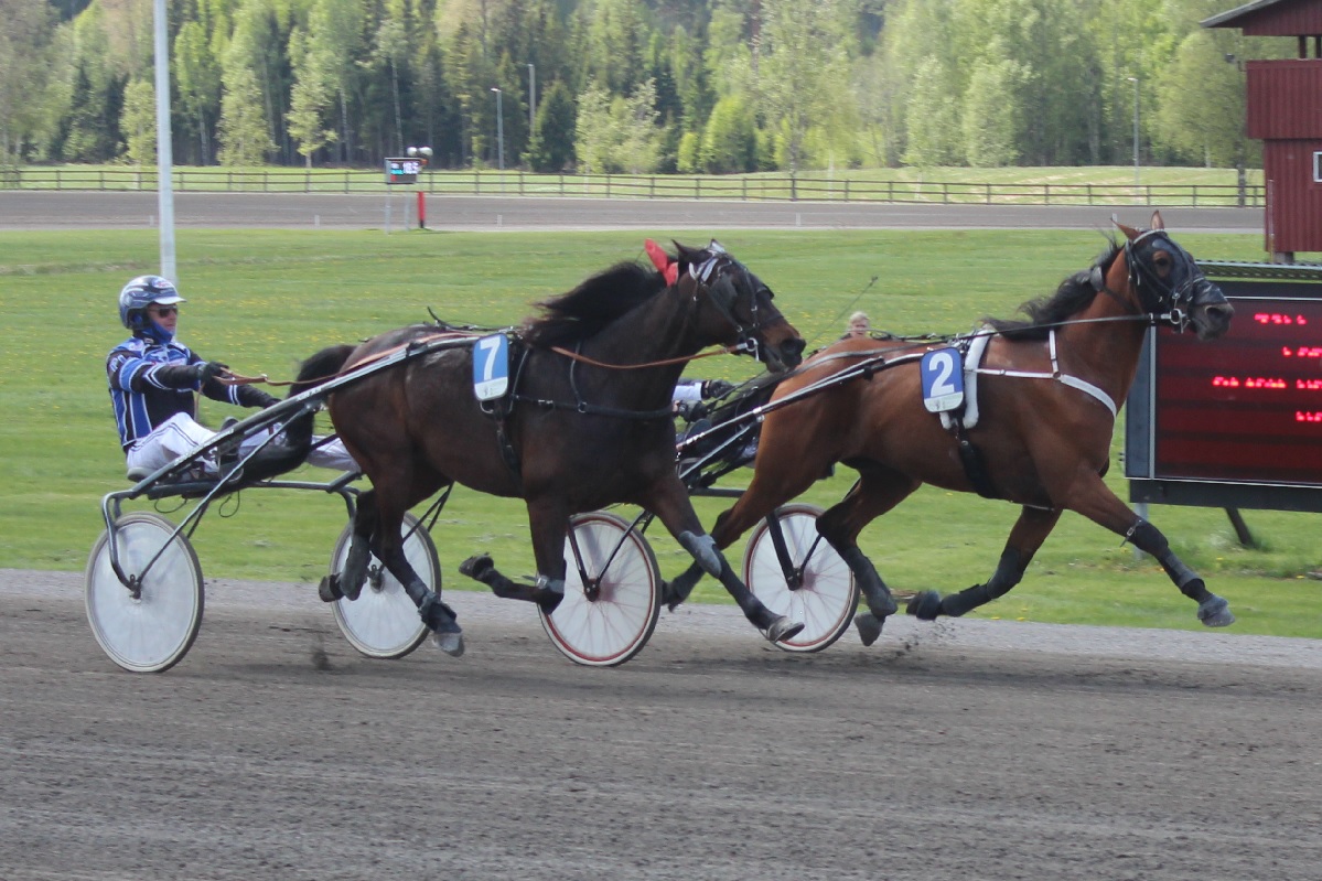 Eagle Käbb nära seger på hemmaplan